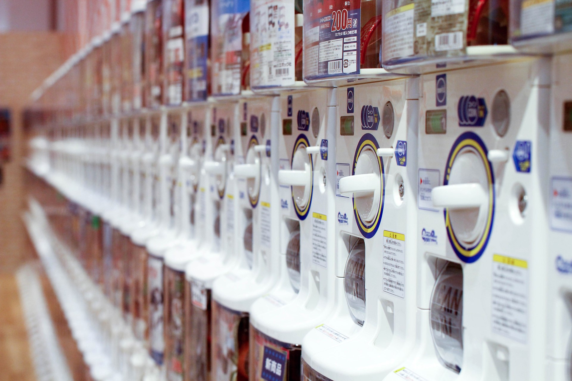 Dream Capsule | セントラルパーク - Centralpark